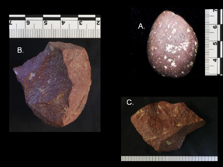 Implications of Artifacts and Bones on Ancient Human Butchery Practices ...