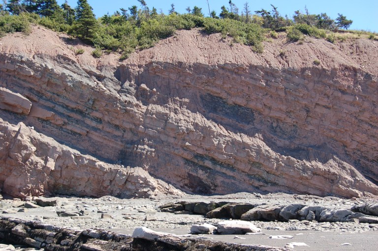 A Trip to the Joggins Fossil Cliffs in Nova Scotia – Naturalis Historia