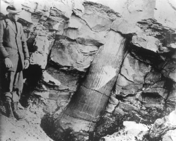 A Trip to the Joggins Fossil Cliffs in Nova Scotia – Naturalis Historia