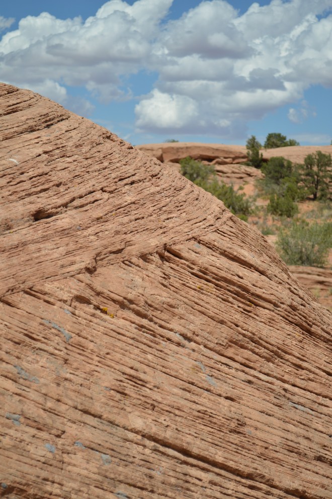 NH Photography: Petrified Sand Dunes Near Moab UT – Naturalis Historia