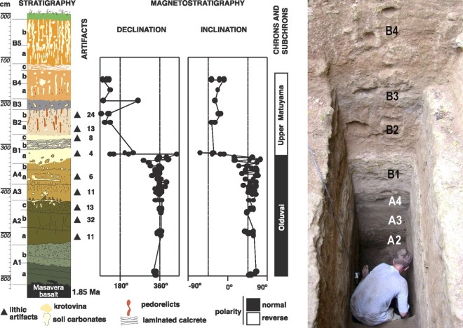 Geological Context III: The Origins of the Dmanisi Skull – Naturalis ...