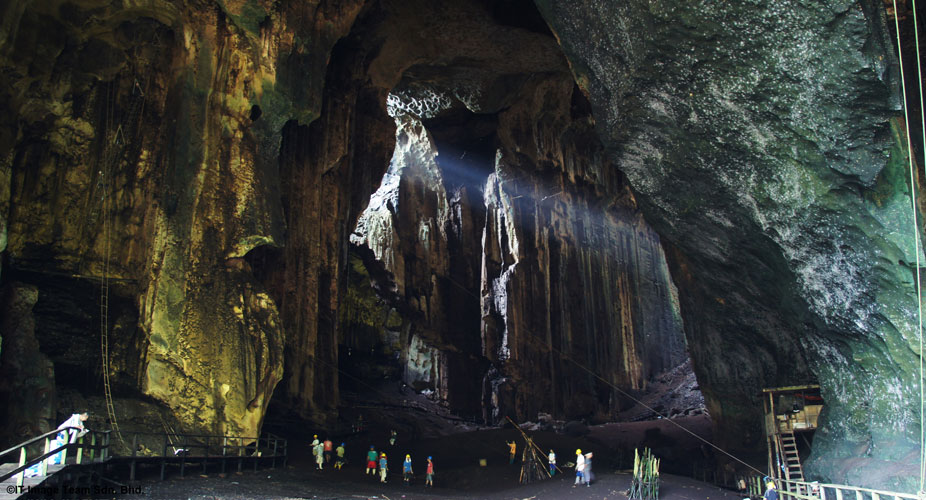 A Strange Testament to an Ancient Earth: Bat Breath Causes Caves to ...