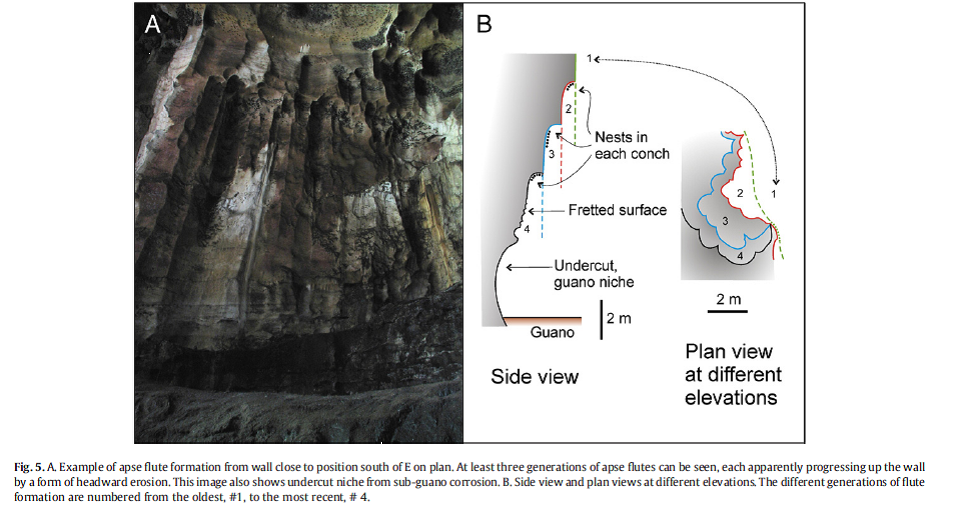 A Strange Testament to an Ancient Earth: Bat Breath Causes Caves to ...