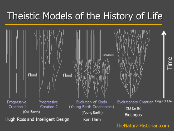 Consider the Ostrich—Comparing Theistic Models of Biological Origins ...