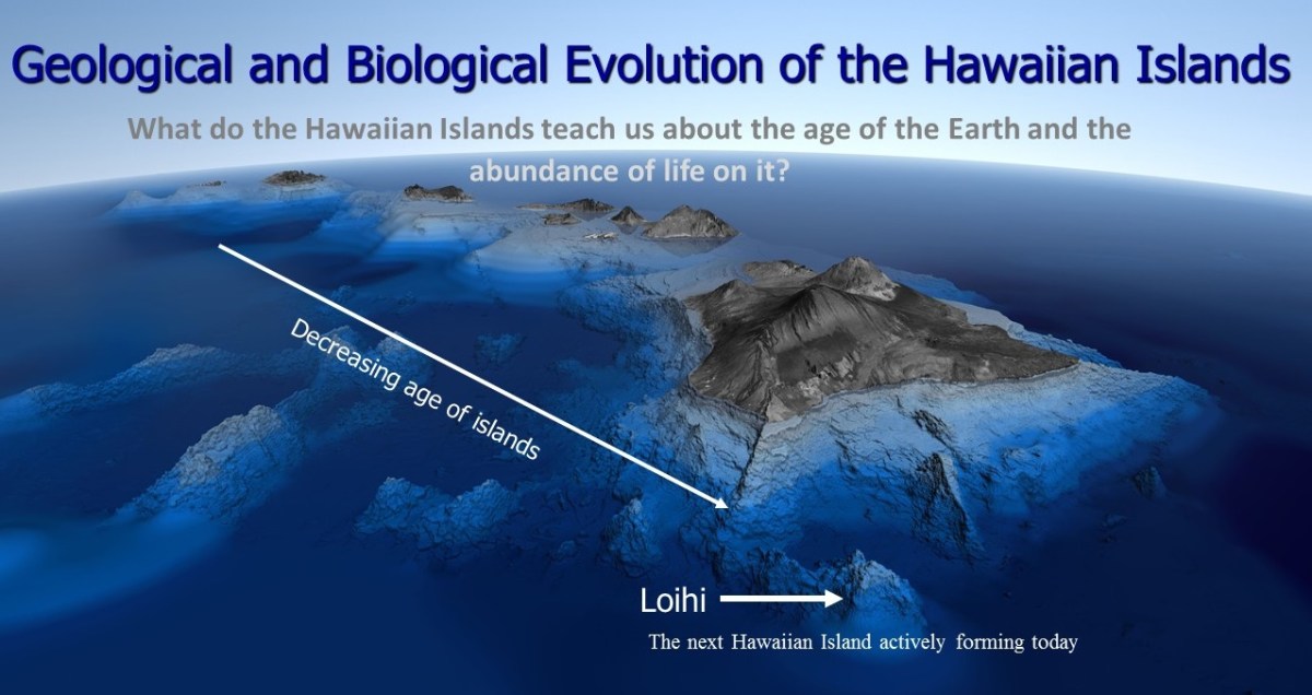 The Appearance of Age and the Origin of the Hawaiian Islands ...