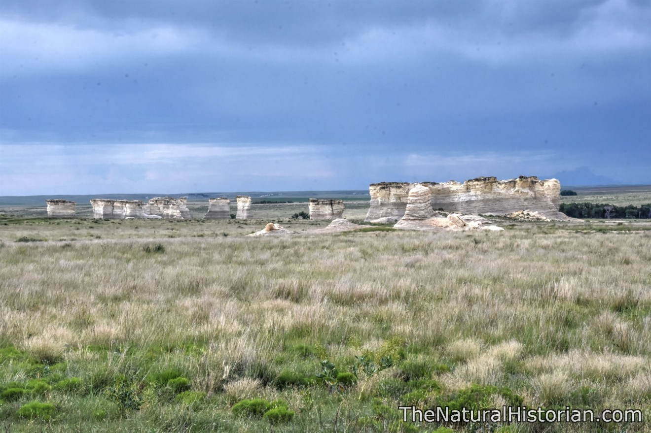 Remnants of a Shallow Sea: A Visit to Monument Rocks in Kansas ...