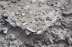 Remnants of a Shallow Sea: A Visit to Monument Rocks in Kansas ...