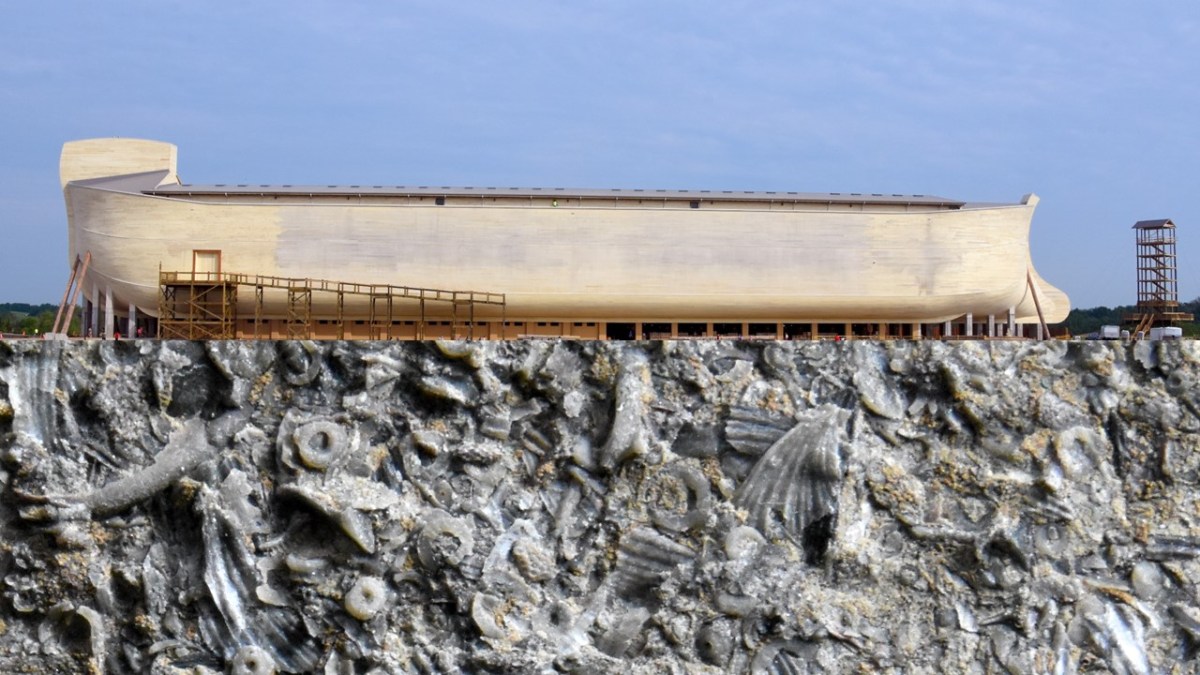The Ark Encounter Sits on a Foundation Made of Trillions of Fossils ...