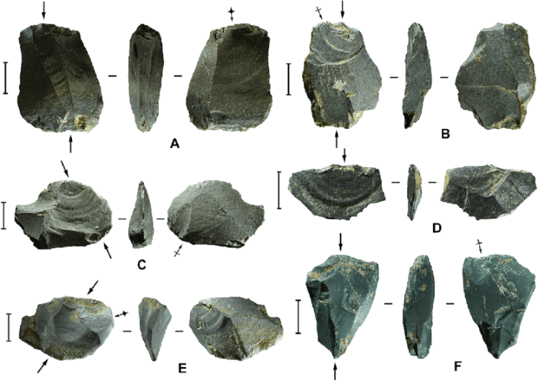 Tricksy Hominin Fossils: Hobbitses are Human but Homo naledi is not ...