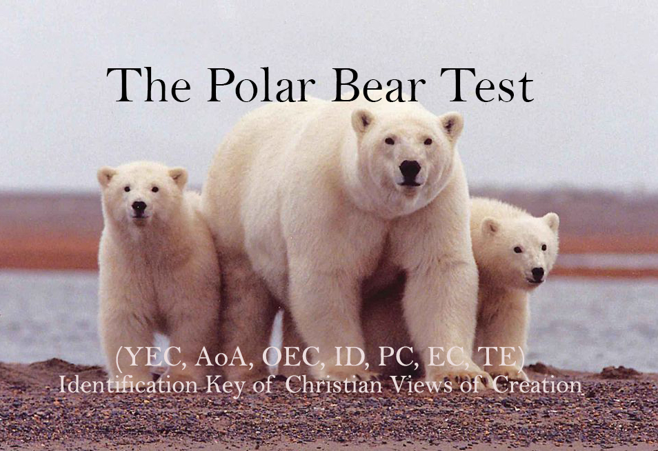 The Polar Bear Test—An Identification Key of Christian Views of Origins ...