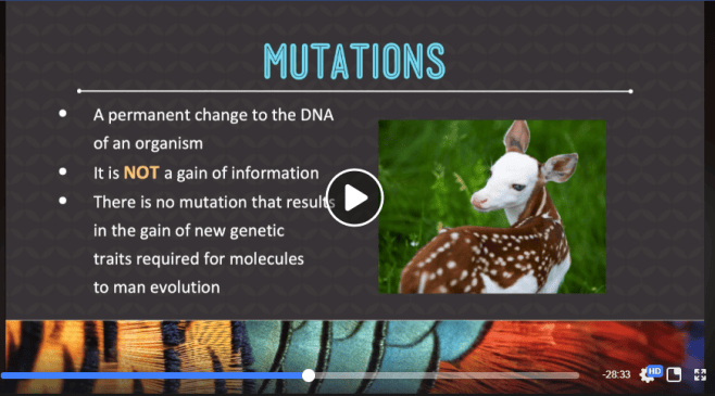 A Primer on Young-Earth Views of Speciation, Mutations and Natural ...