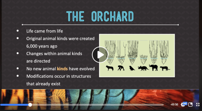 A Primer on Young-Earth Views of Speciation, Mutations and Natural ...