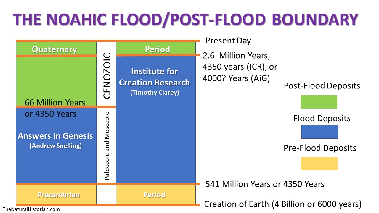 Where is Noah’s Flood in the Geological Column? – Naturalis Historia