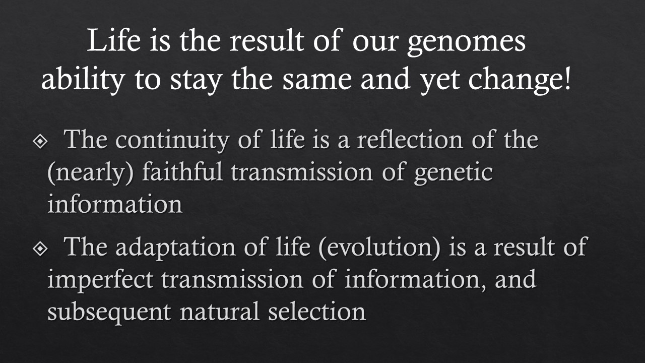 A Quadrillion Mutations Later: Why are you still alive? A response to ...