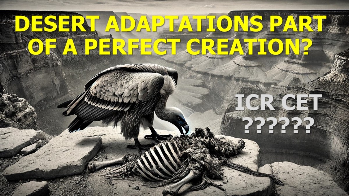 The Marvels of Desert Adaptations: A Critique of ICR’s Continuous ...