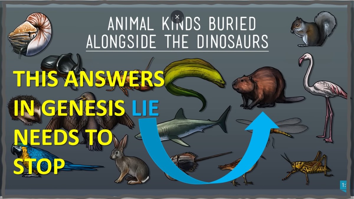 Answers in Genesis’ Misleading Claims (Lies) About Mammals and ...