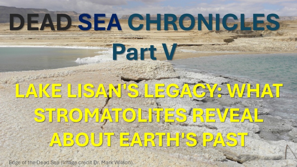 Dead Sea Chronicles Part V – Lake Lisan’s Legacy: What Stromatolites ...