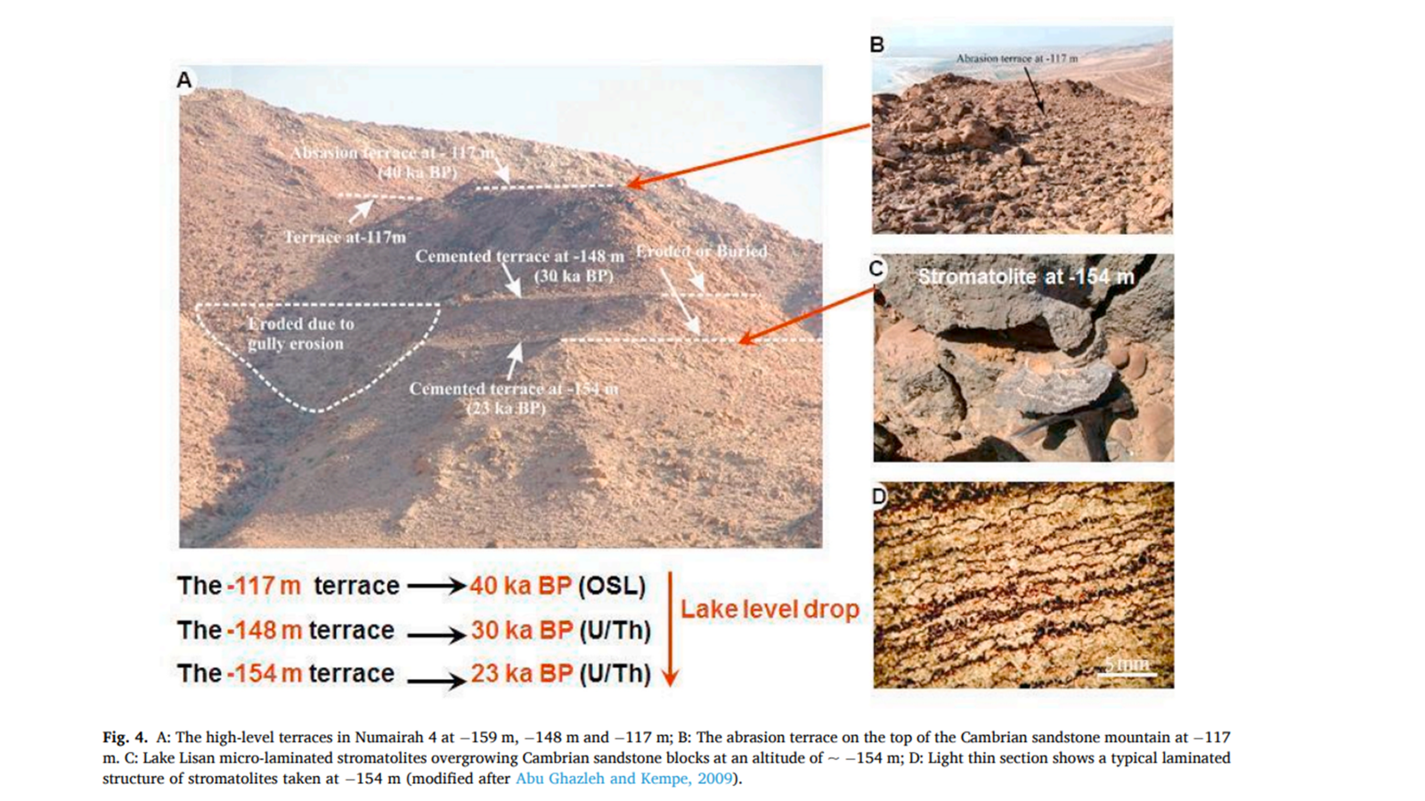 Dead Sea Chronicles Part V – Lake Lisan’s Legacy: What Stromatolites ...