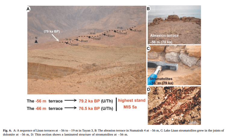Dead Sea Chronicles Part V – Lake Lisan’s Legacy: What Stromatolites ...